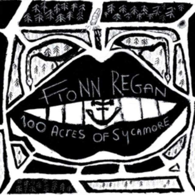 Fionn Regan - 100 Acres Of Sycamore - LP Vinyl – Weekly Hype